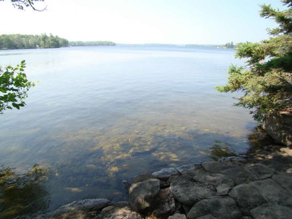 THE PONDEROSA – Shady Point Resort